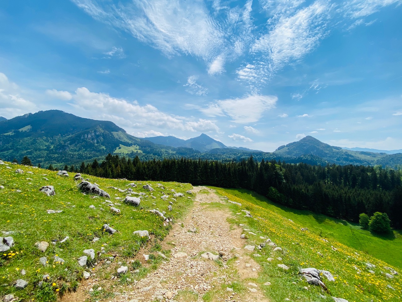 Wanderung vom Samerberg auf den Heuberg in Bayern - kathrin liebt reisen
