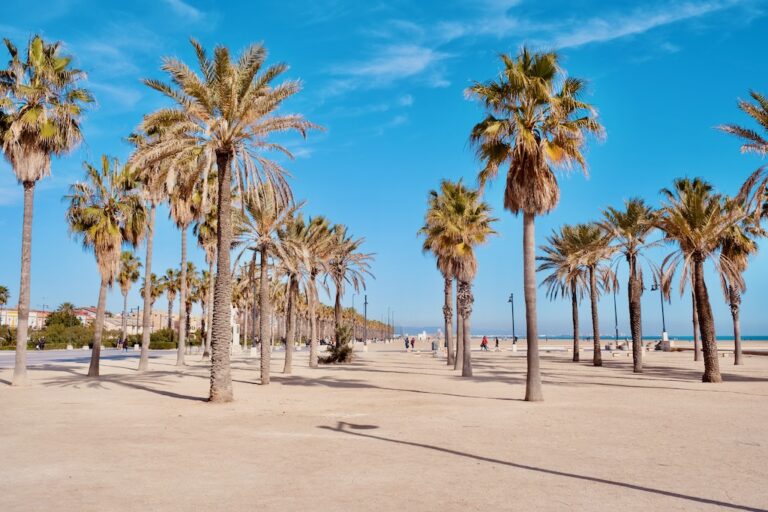 Valencia - Die schönsten Sehenswürdigkeiten - kathrin liebt reisen